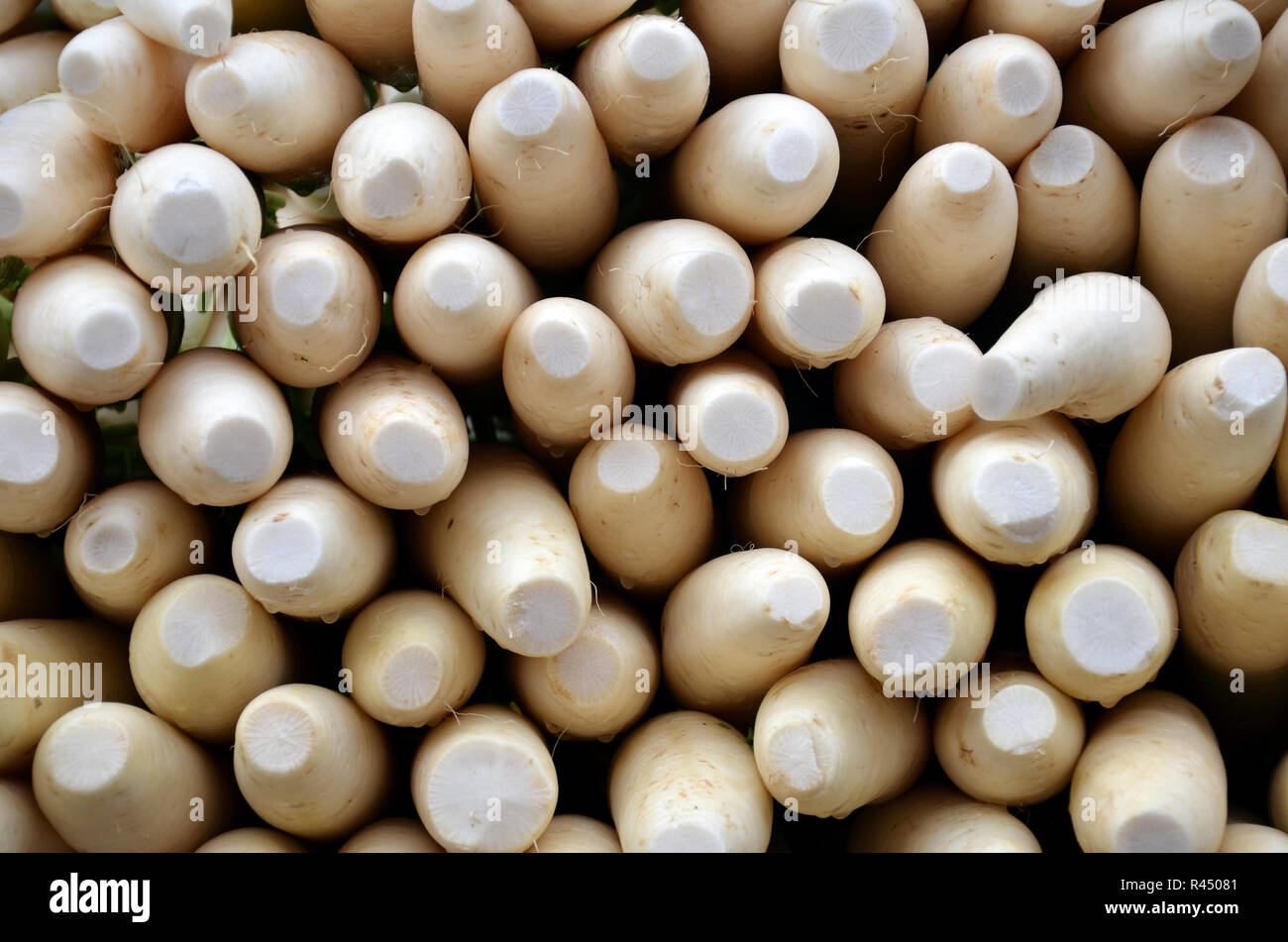 Indian white radishes Stock Photo - Alamy