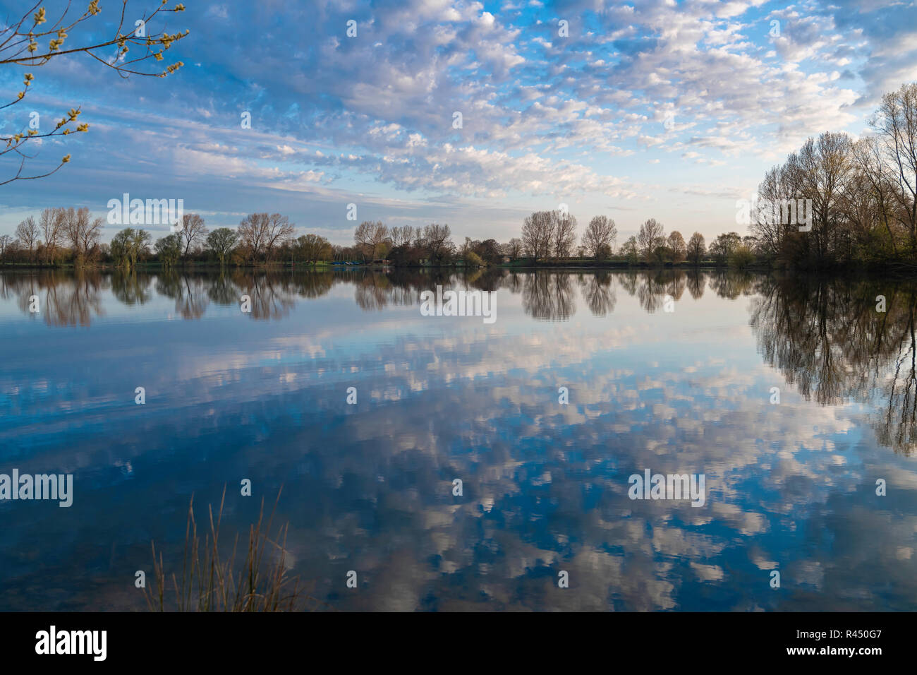 Ellerton Park, Yorkshire, England Stock Photo - Alamy