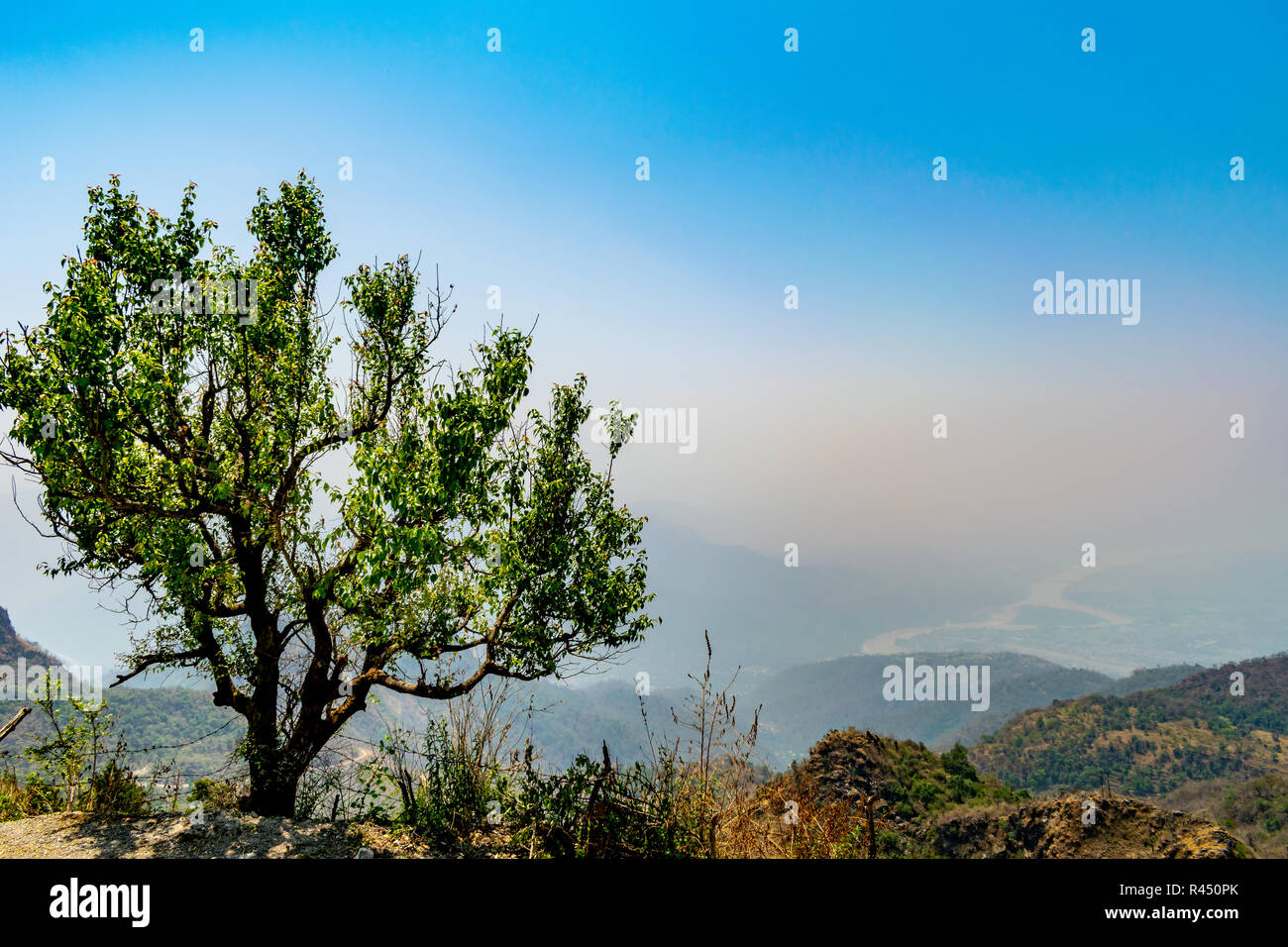 Road to kunjapuri devi temple hi-res stock photography and images - Alamy