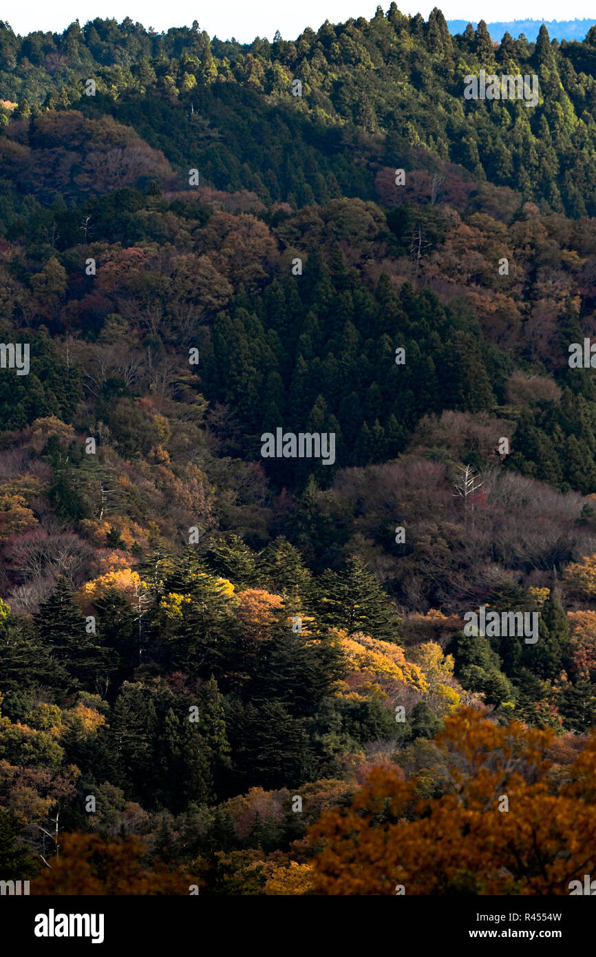 Ryujin hi-res stock photography and images - Alamy
