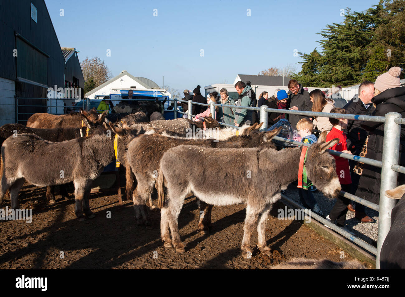 Liscarroll, Cork, Ireland. 25-11-2018. A section of the large crowd at ...