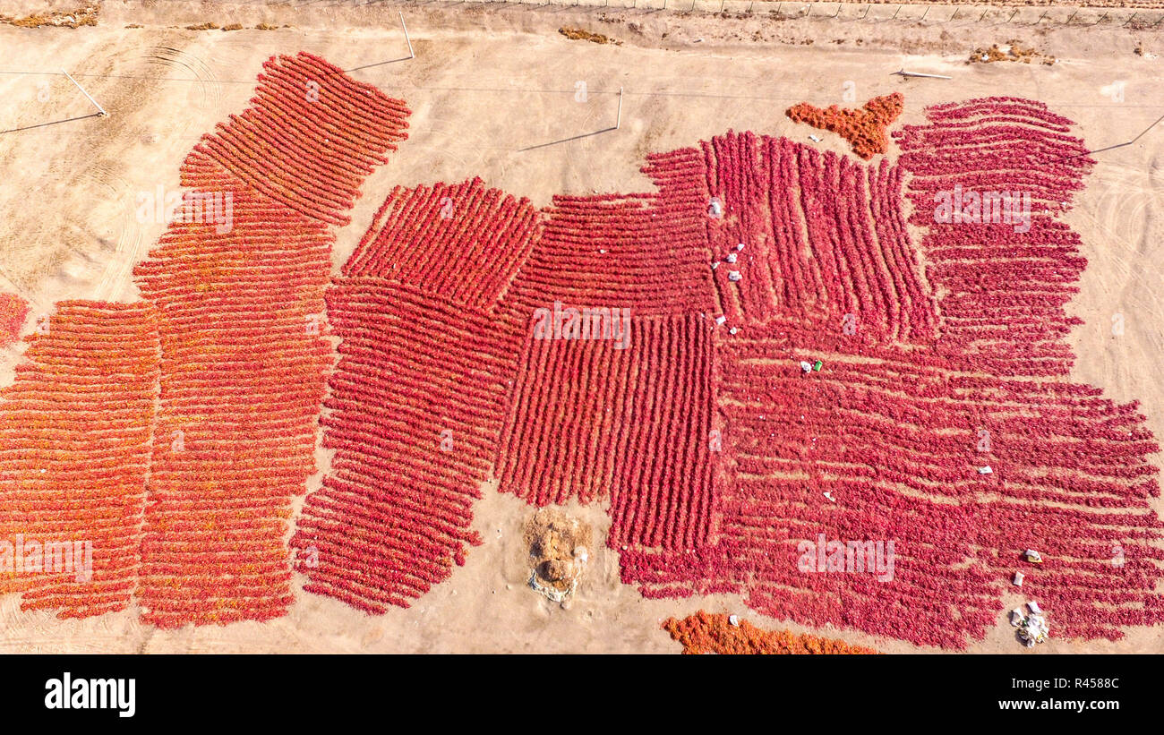 Peasantred hi-res stock photography and images - Alamy