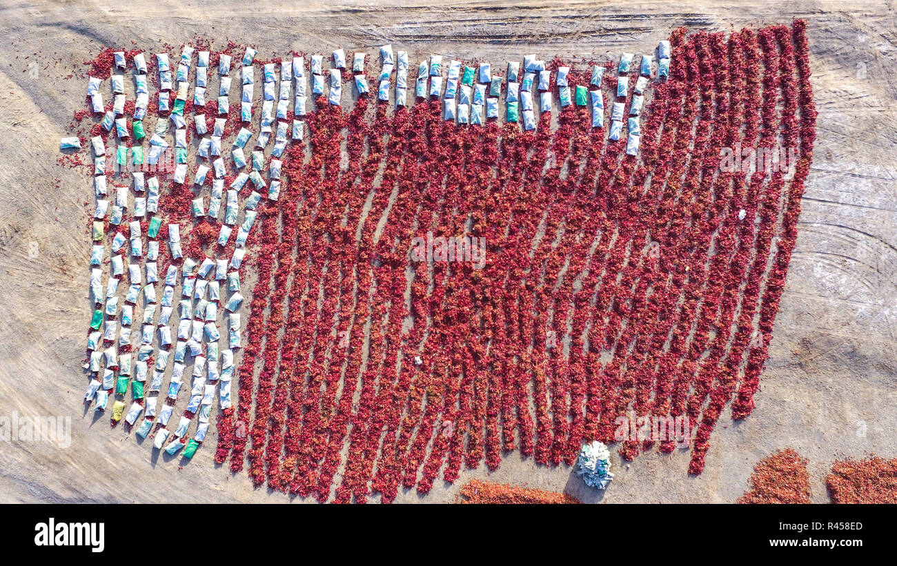 Kuqa, Kuqa, China. 25th Nov, 2018. Kuqa, CHINA-Peasants air red peppers ...