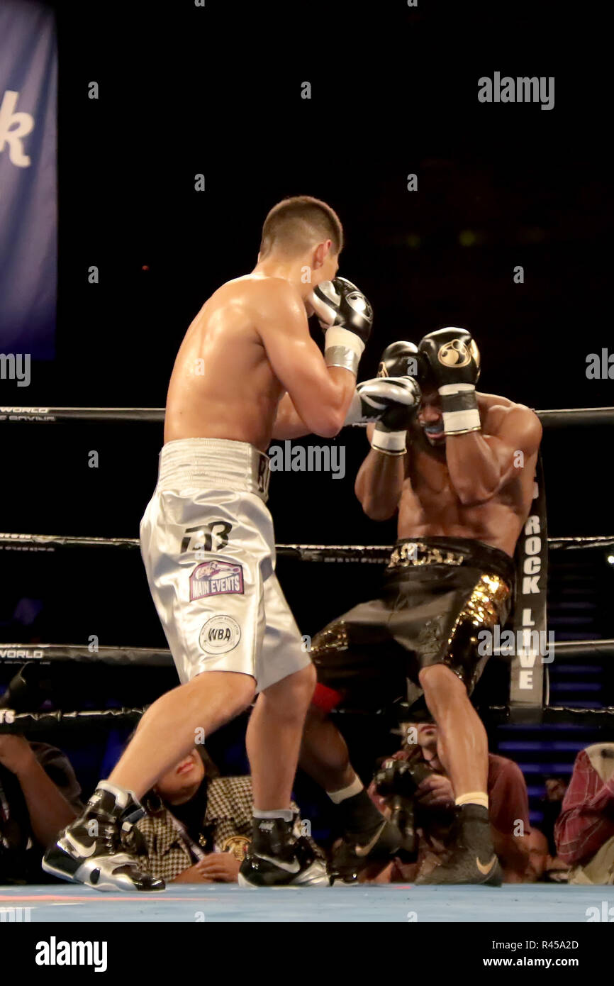 Dmitry bivol hi-res stock photography and images - Alamy