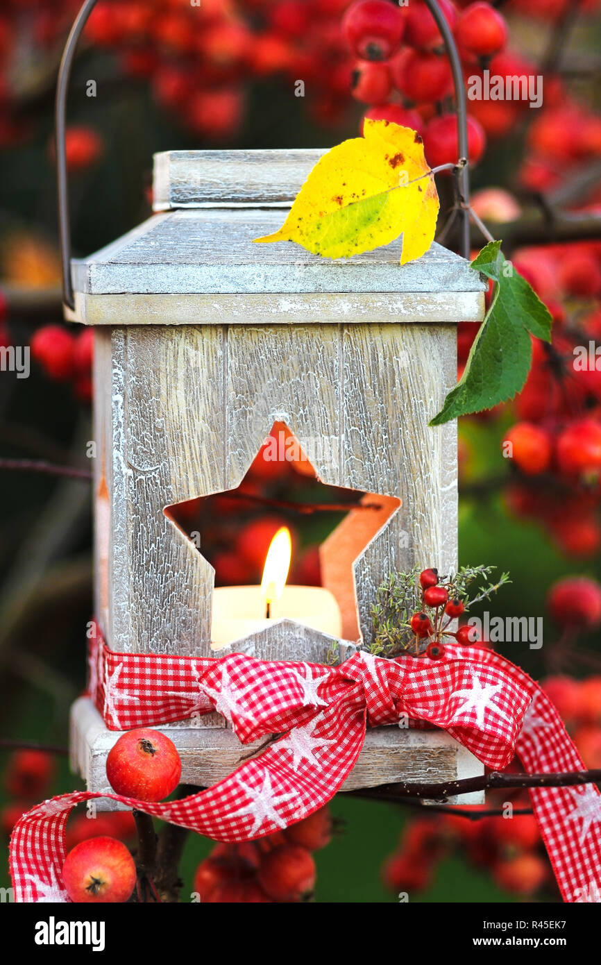 lantern in apple tree Stock Photo - Alamy