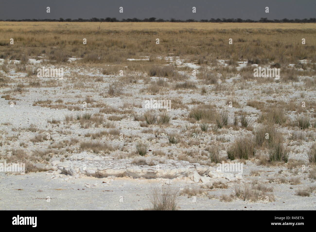 Salt salzkruste hi-res stock photography and images - Alamy