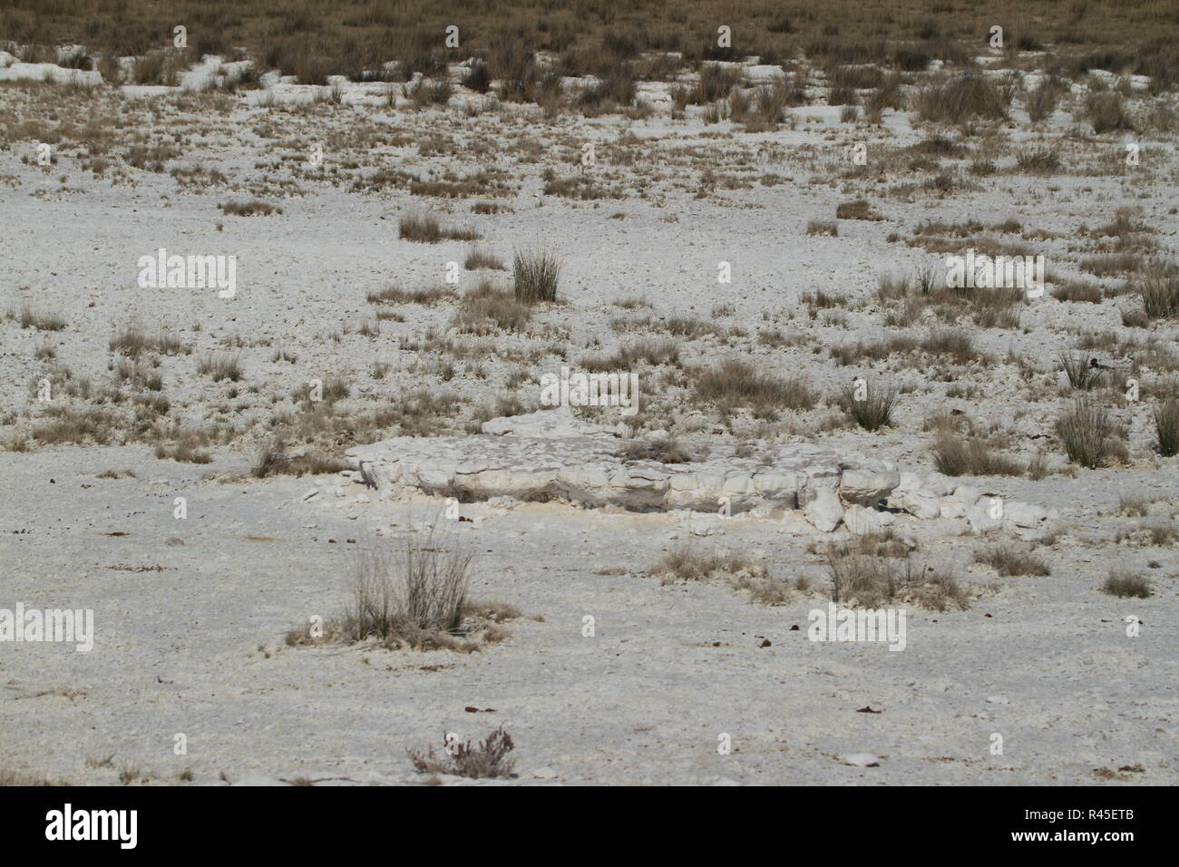 Salt salzkruste hi-res stock photography and images - Alamy