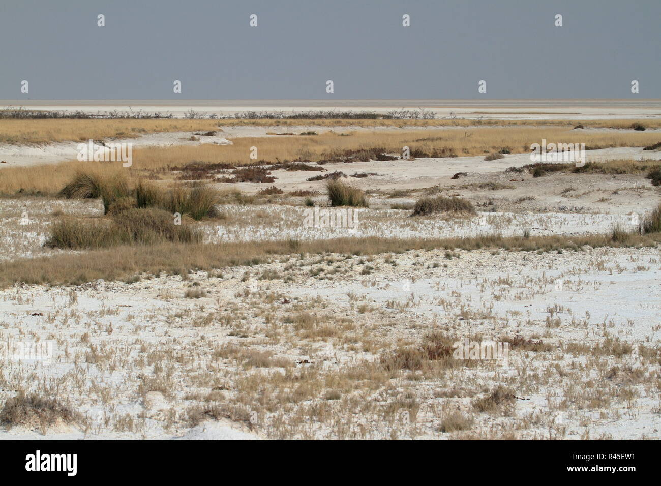 the etosha salt pan in namibia Stock Photo - Alamy