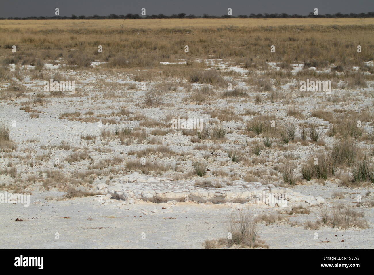 the etosha salt pan in namibia Stock Photo - Alamy