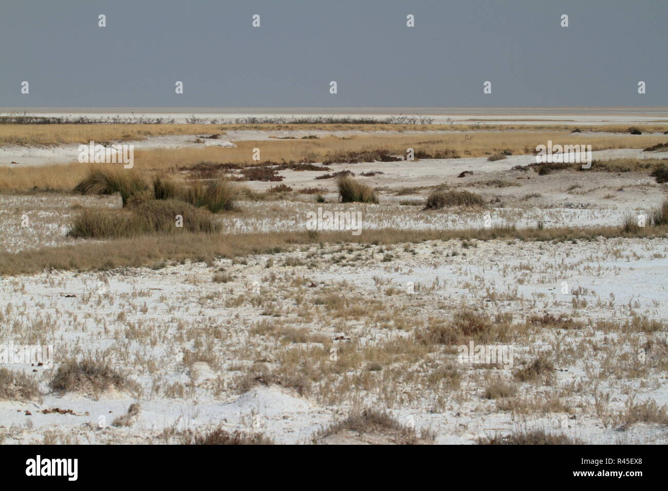 Salt salzkruste hi-res stock photography and images - Alamy