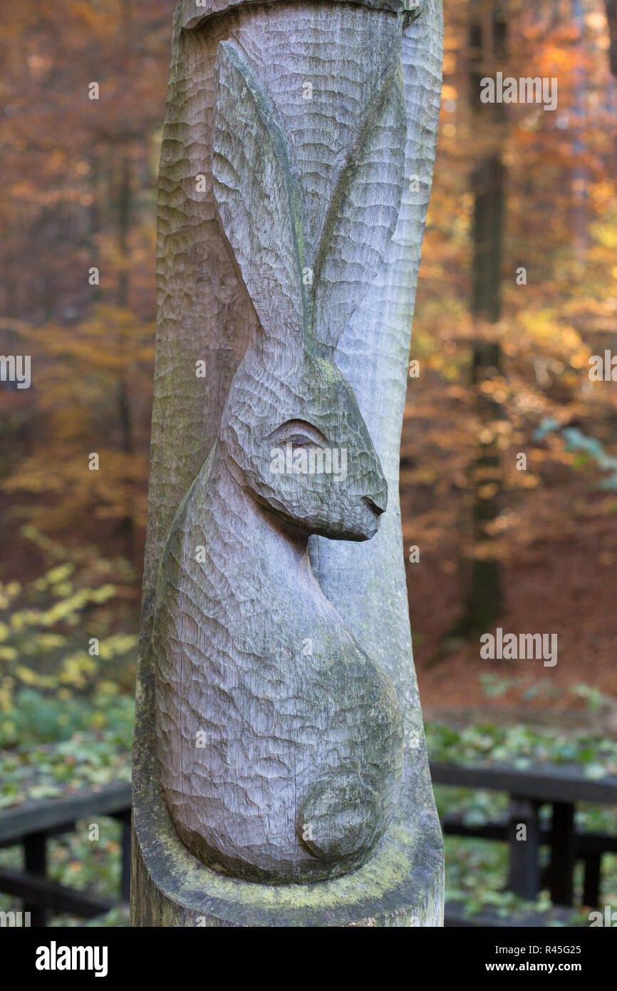 Rabbit tree trunk hi-res stock photography and images - Alamy