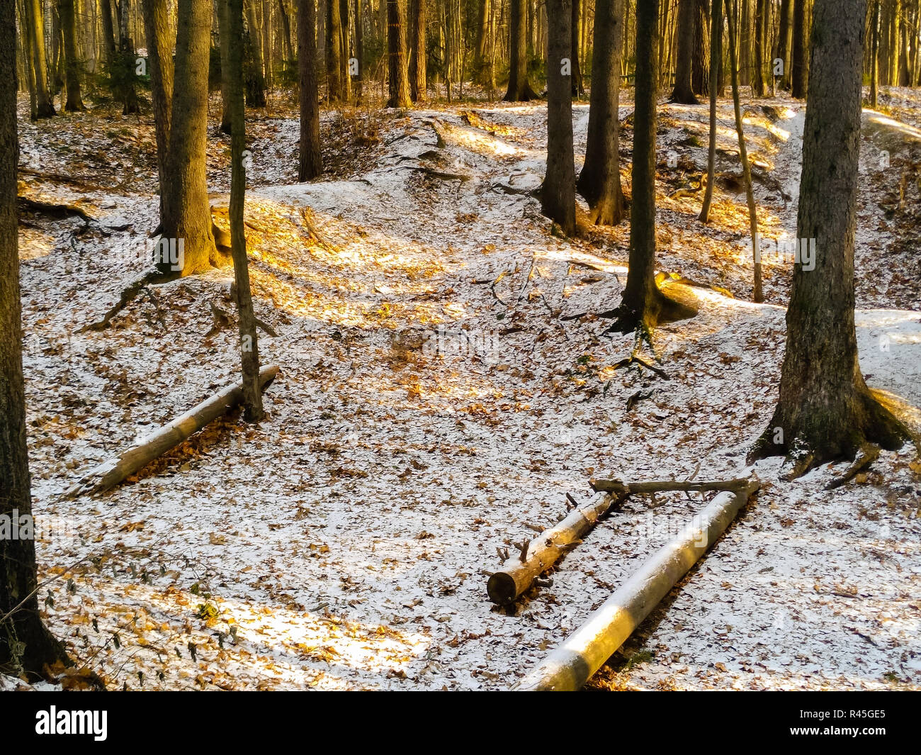 Golden Light Of Late Day High Resolution Stock Photography and Images ...