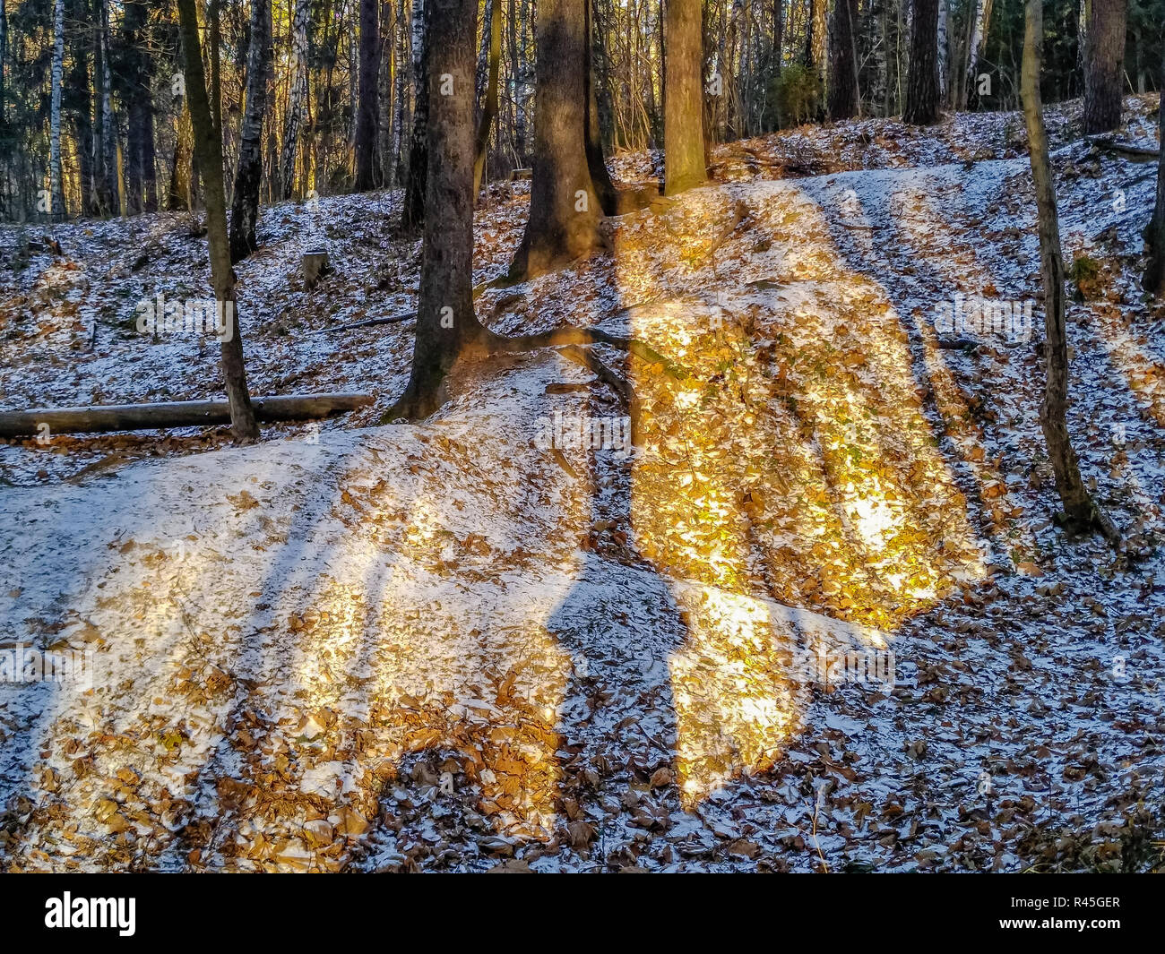 Golden Light Of Late Day High Resolution Stock Photography and Images ...