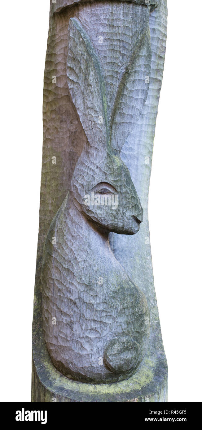 Rabbit tree trunk hi-res stock photography and images - Alamy