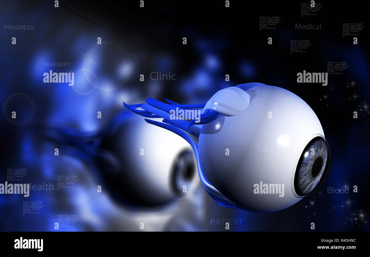 Vitreous eye hi-res stock photography and images - Alamy