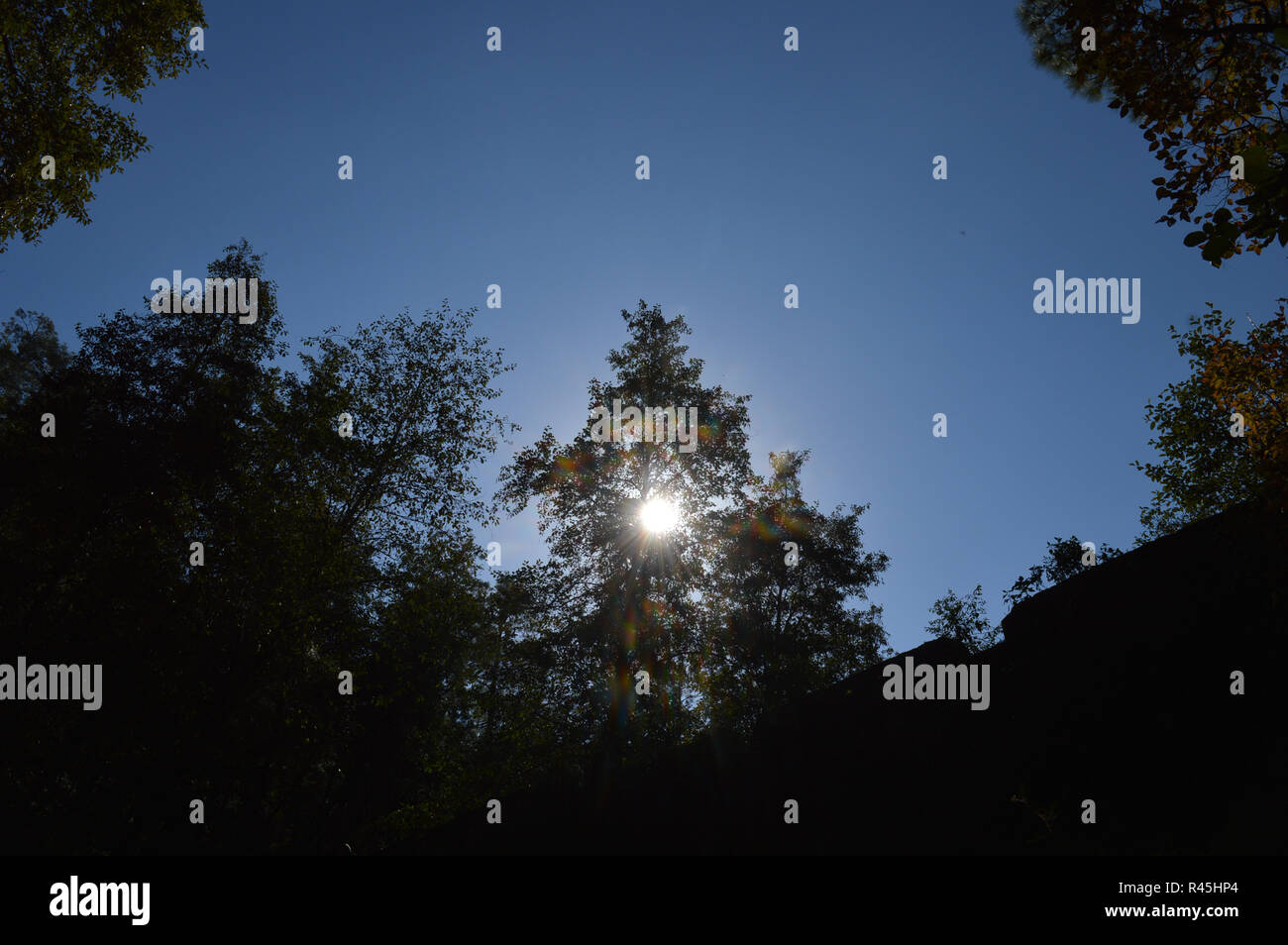 uttarakhand is a hilly state of india. has high hills long tree water ...