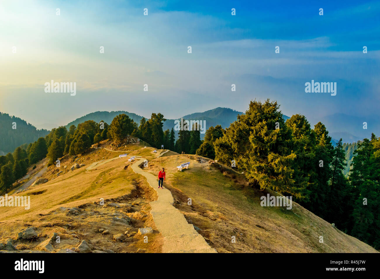 Dainkund- the singing hills, the long walk/ path/ climb to the top ...