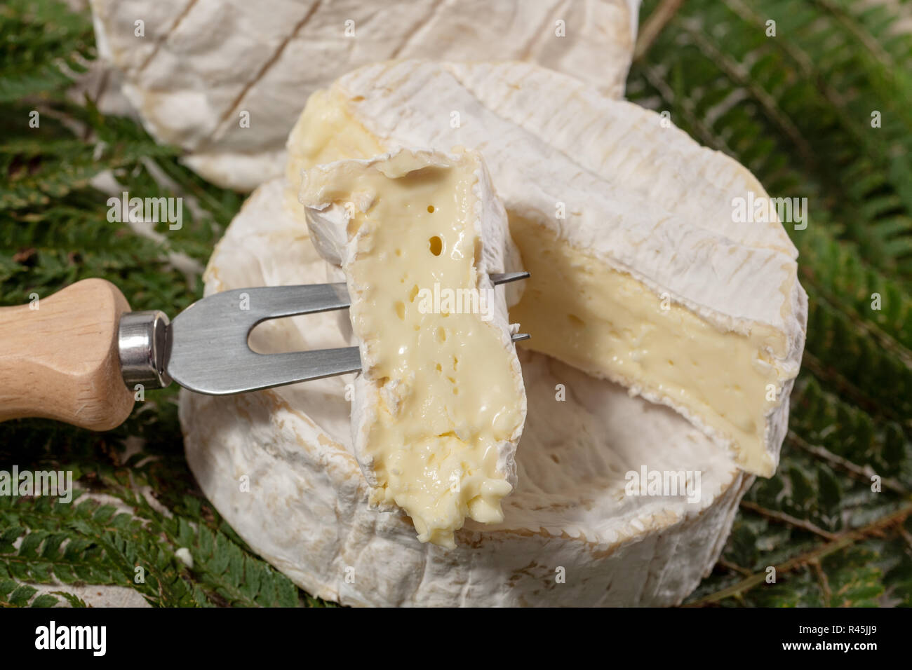Camembert cheese traditional Normandy French, a dairy product Stock ...