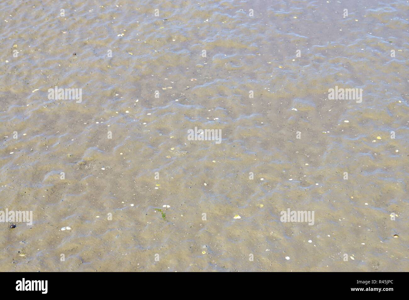 high tides at the north sea Stock Photo - Alamy