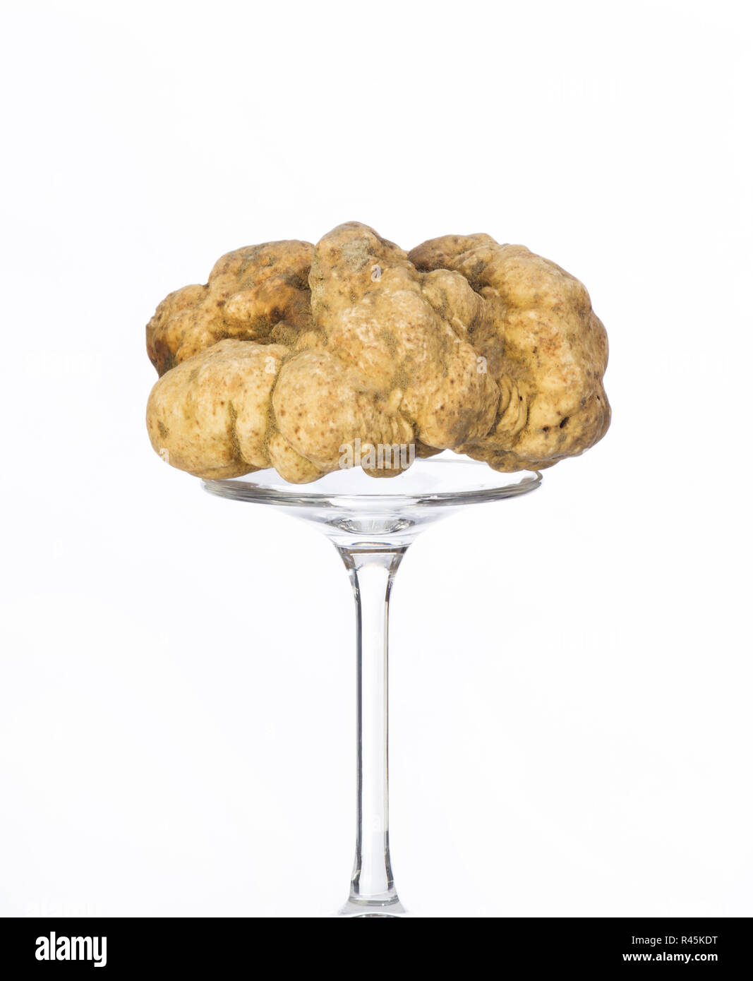 Still life of a truffle on a white background Stock Photo - Alamy