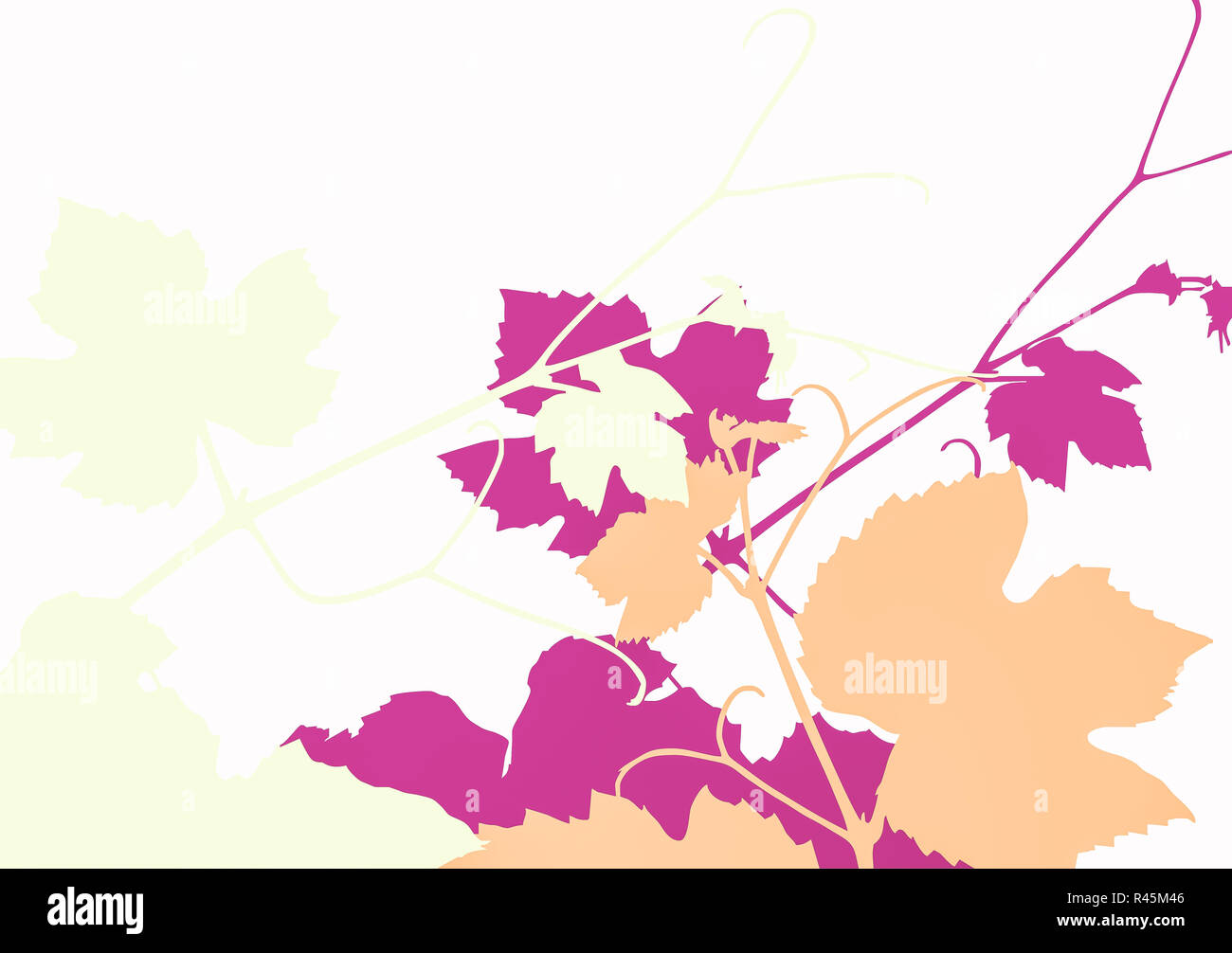 Vector illustration of grape vine leaves Stock Photo - Alamy