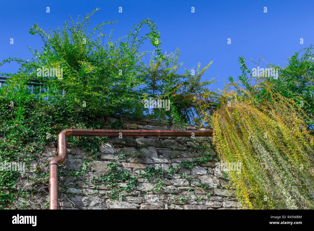 Gutter on wall Stock Photo - Alamy