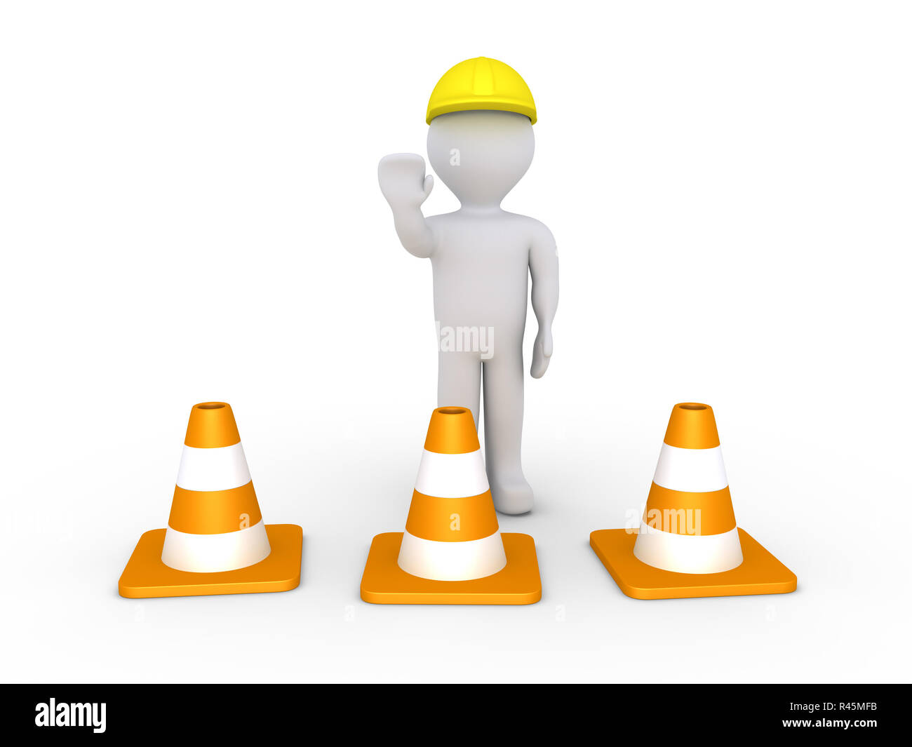 Developing cones Cut Out Stock Images & Pictures - Alamy