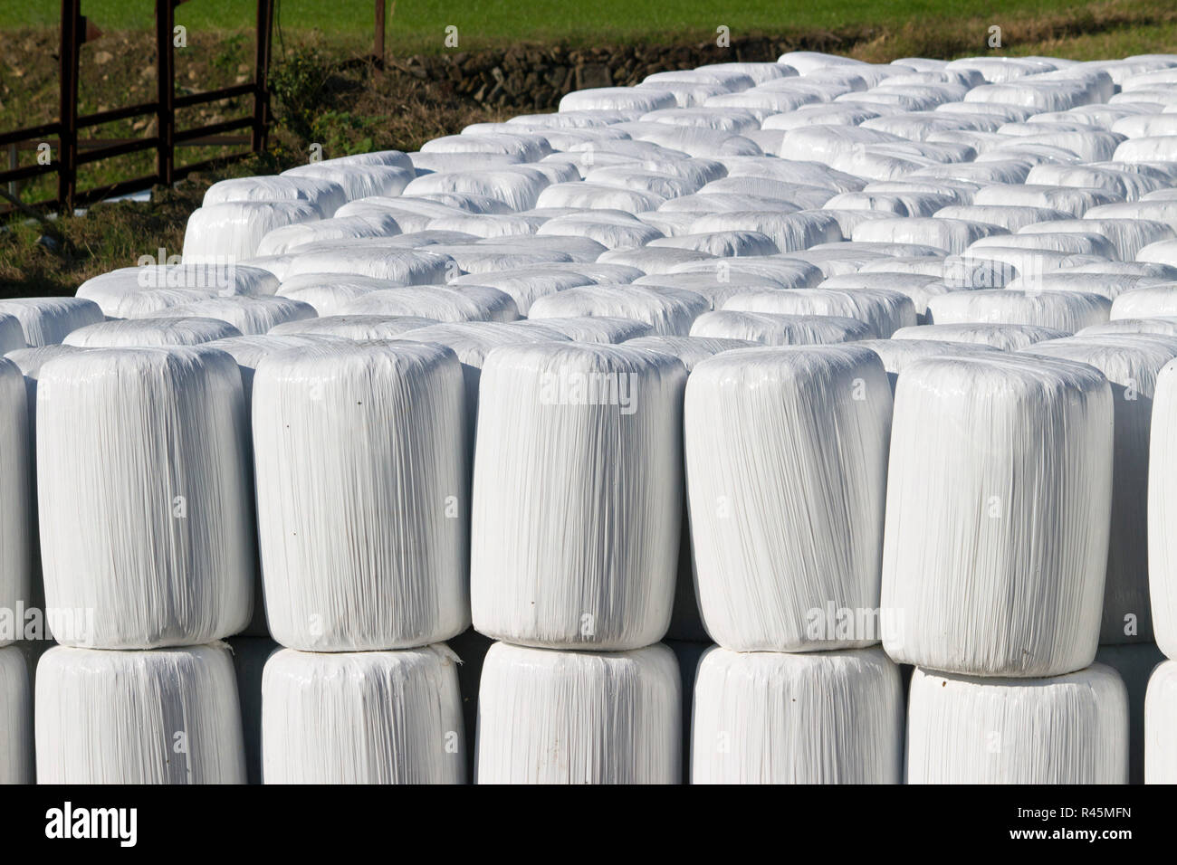 Wrapped Bale High Resolution Stock Photography and Images - Alamy