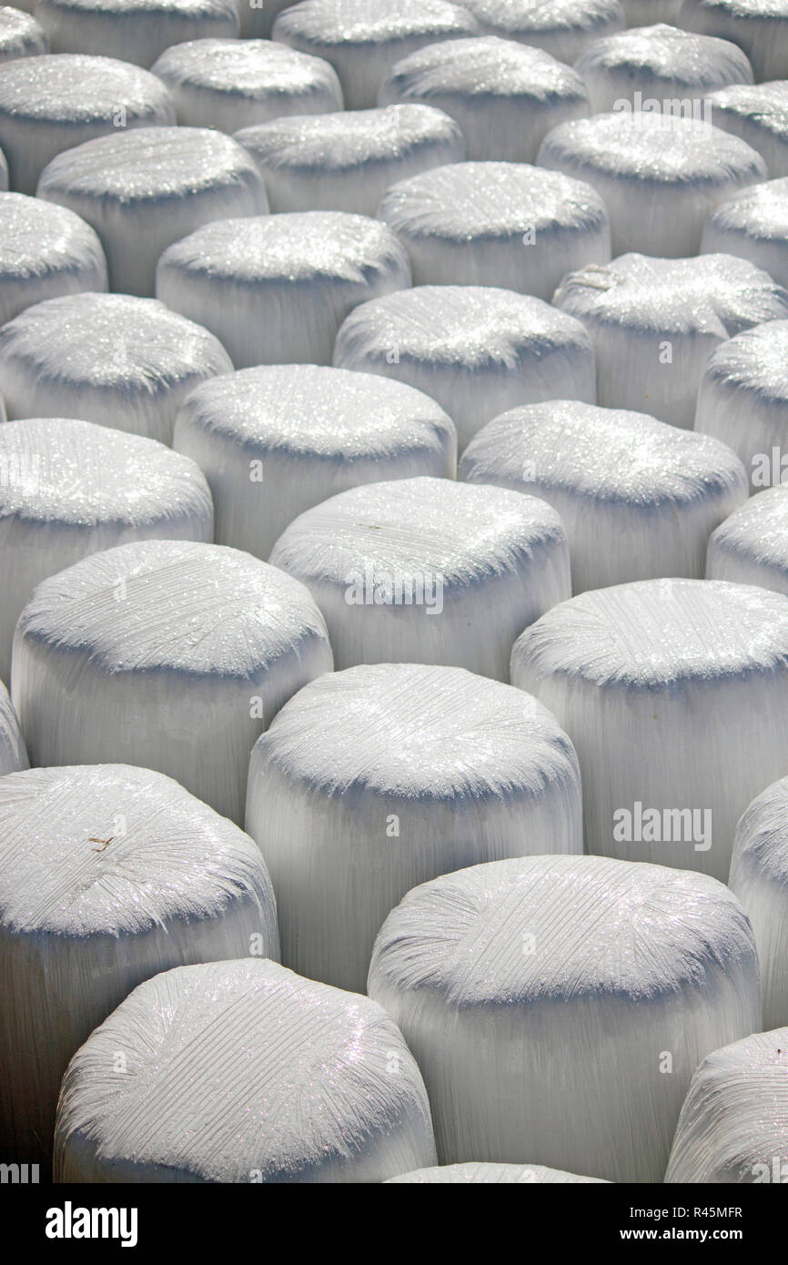 Wrapped Bale High Resolution Stock Photography and Images - Alamy