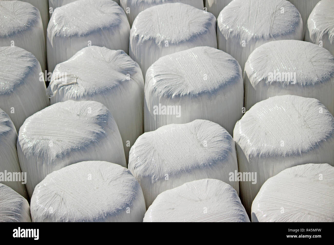 Wrapped bale silages Stock Photo - Alamy