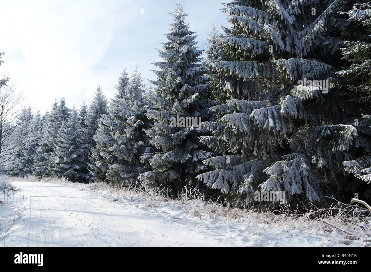 winter in the harz Stock Photo - Alamy