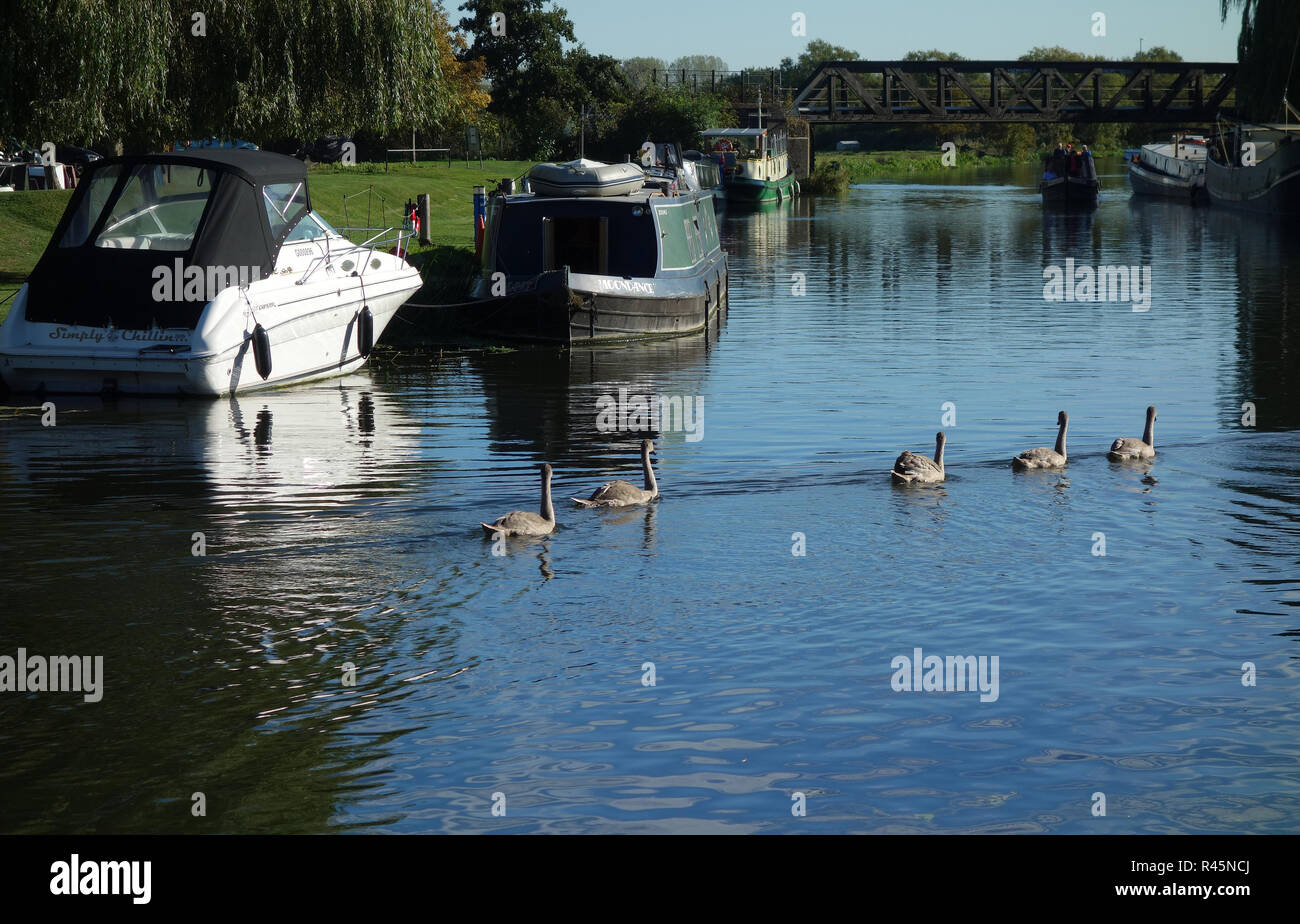 Ely cathedral, river ouse hi-res stock photography and images - Alamy