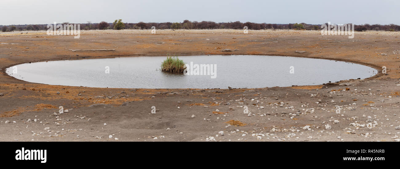 Empty waterhole in namibia game reserve Stock Photo - Alamy