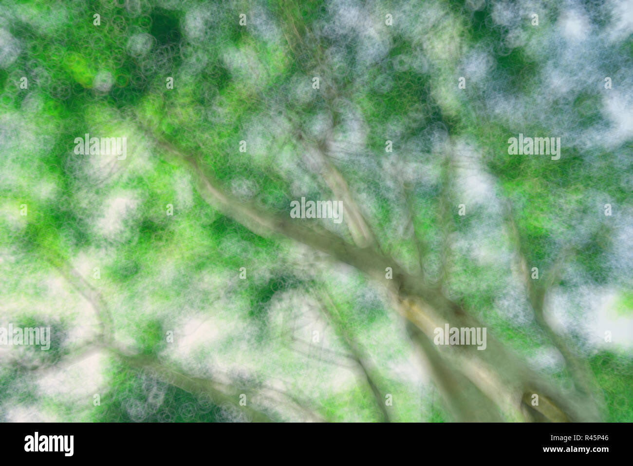 abstract natural blur background, defocused leaves, bokeh Stock Photo ...
