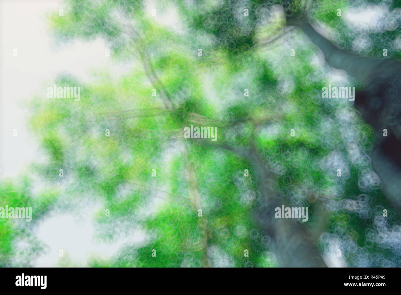 abstract natural blur background, defocused leaves, bokeh Stock Photo ...