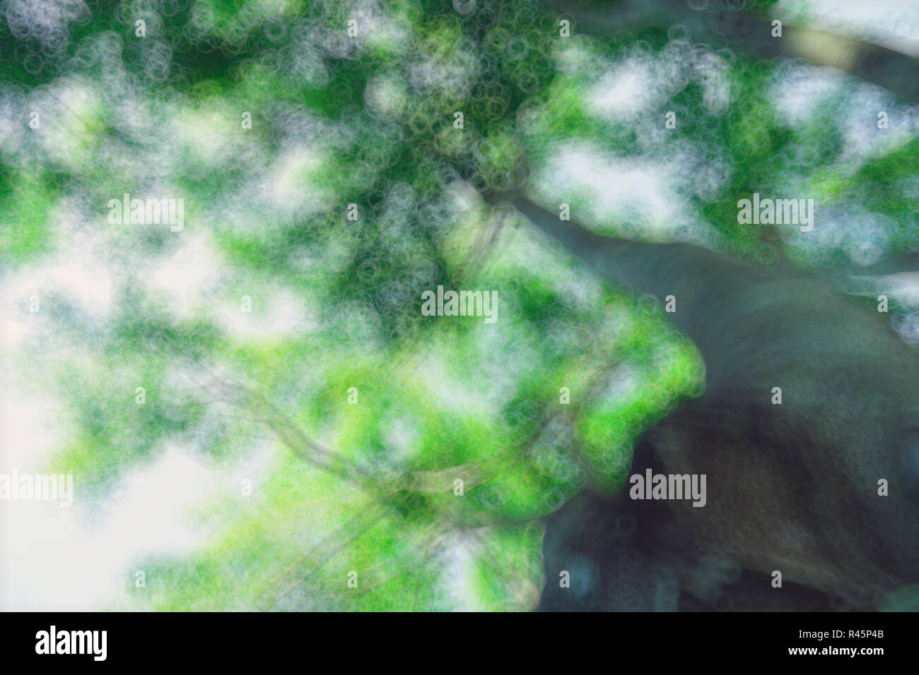 abstract natural blur background, defocused leaves, bokeh Stock Photo ...