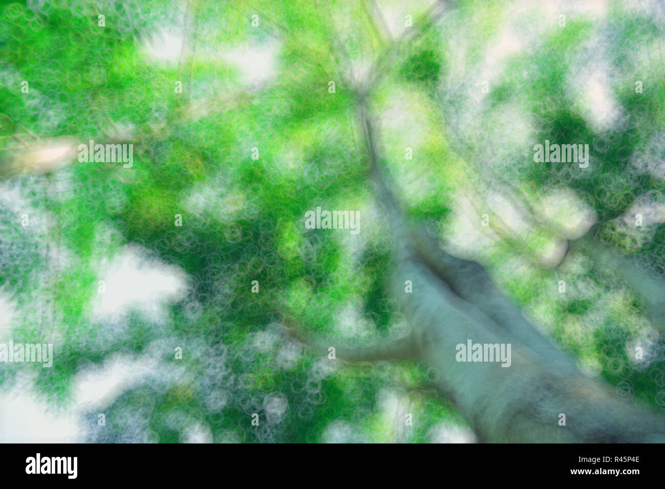 abstract natural blur background, defocused leaves, bokeh Stock Photo ...