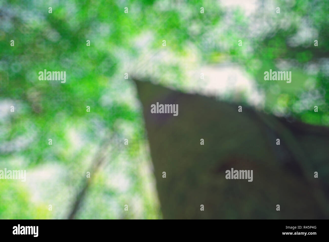 abstract natural blur background, defocused leaves, bokeh Stock Photo ...