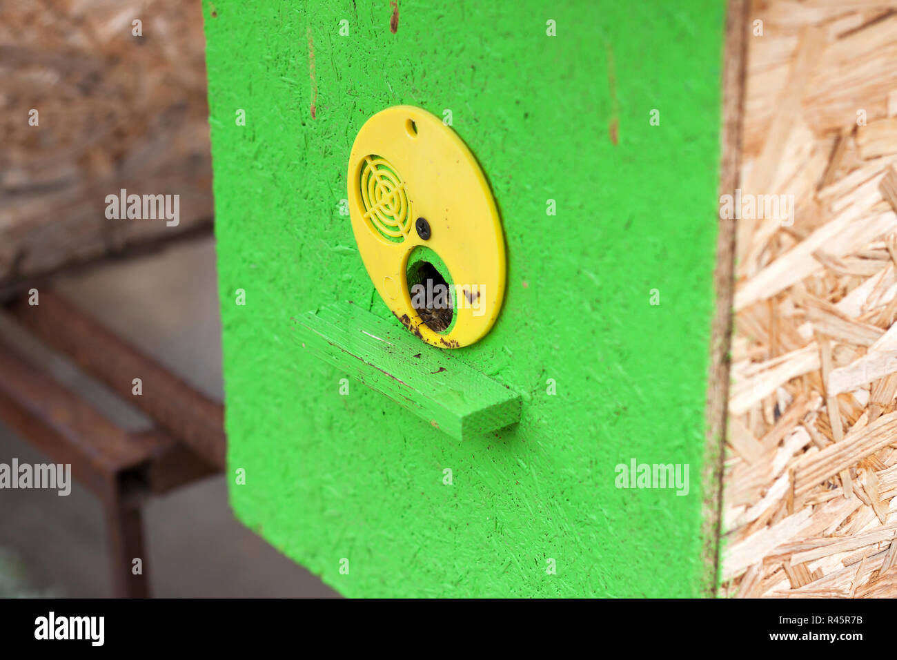Close-up of primitive beehive painted bright green and yellow with ...