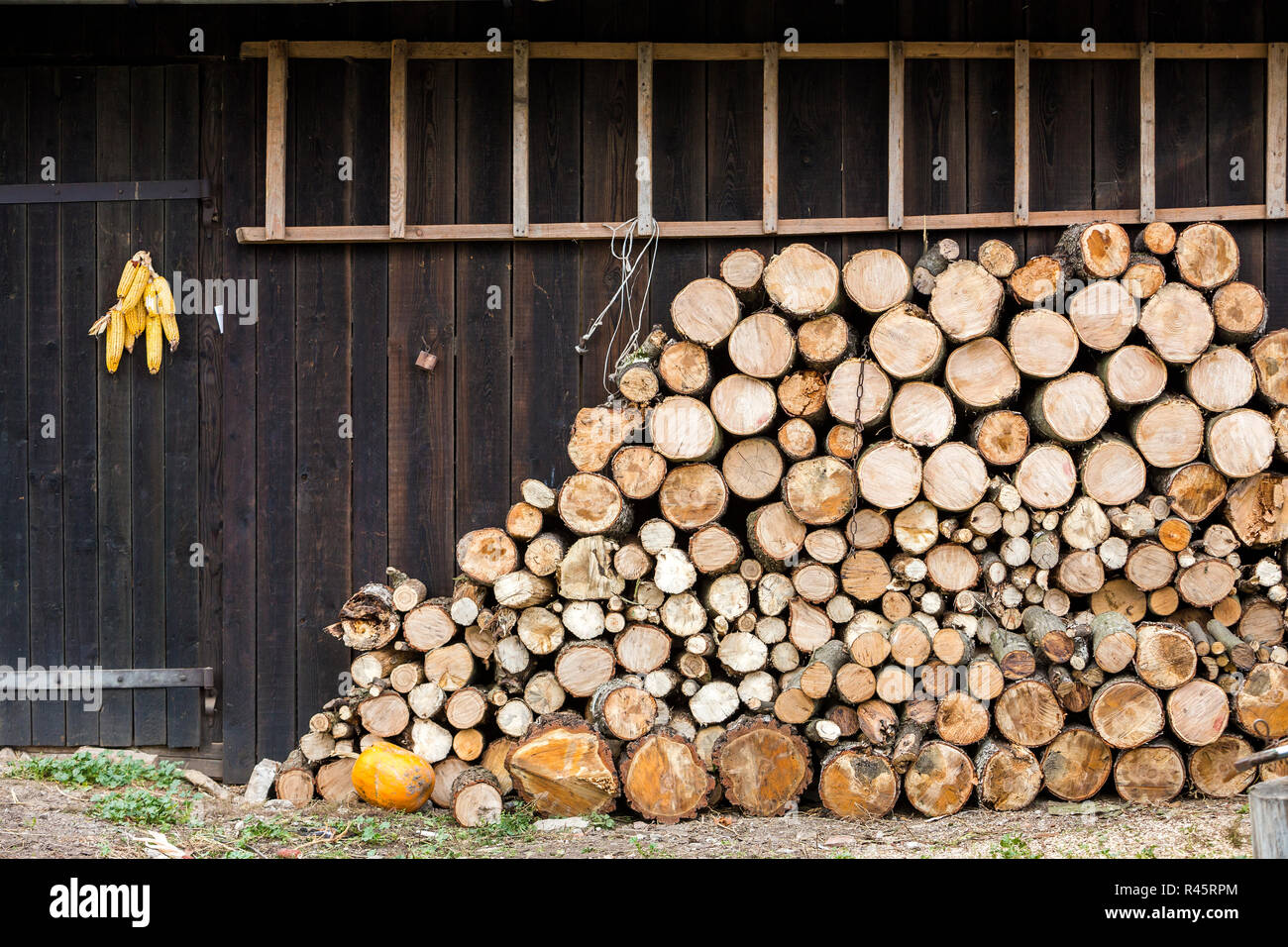 Wood ladder dark background hi-res stock photography and images - Alamy