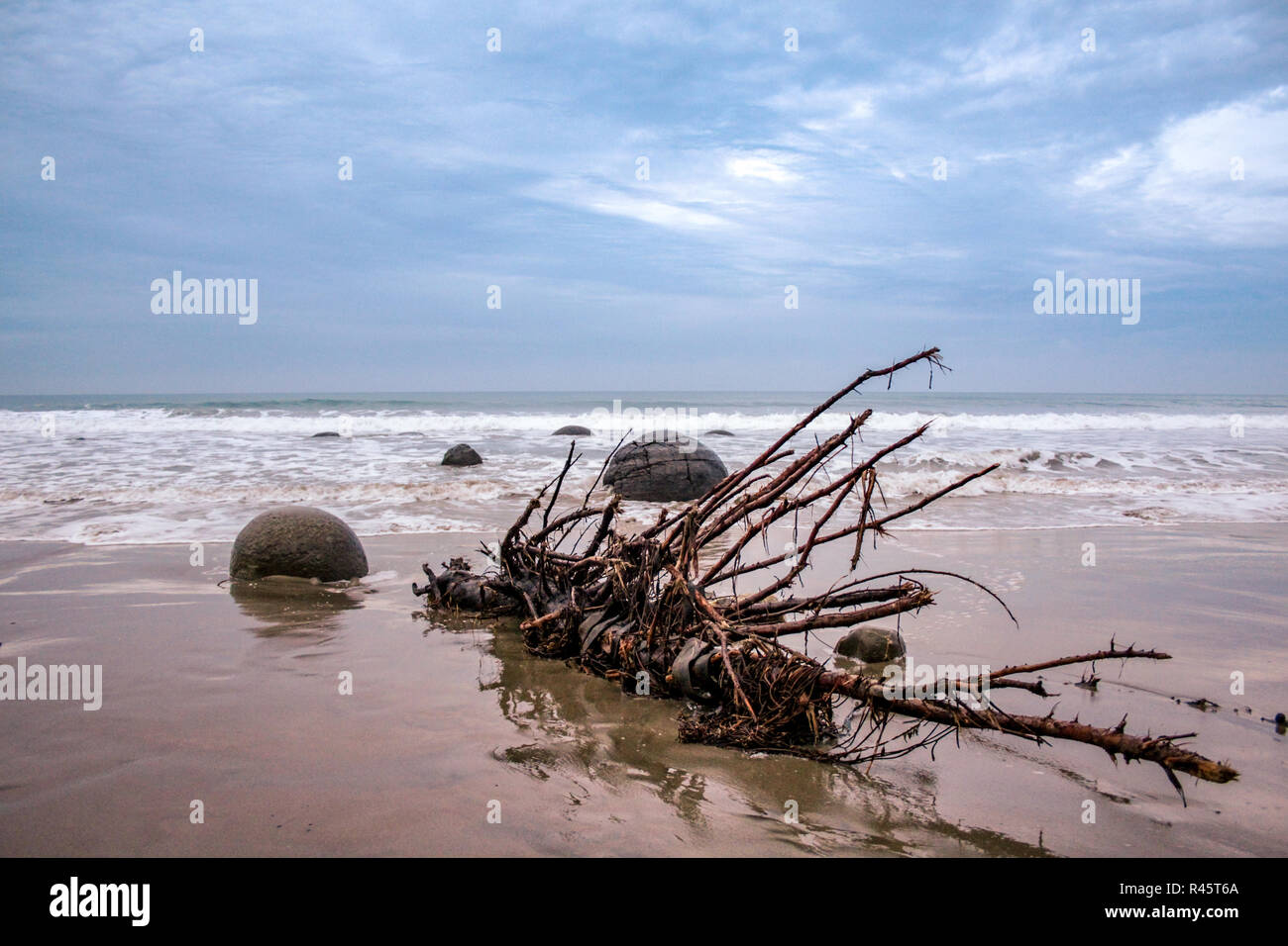 Dunedin moeraki boulders hi-res stock photography and images - Alamy
