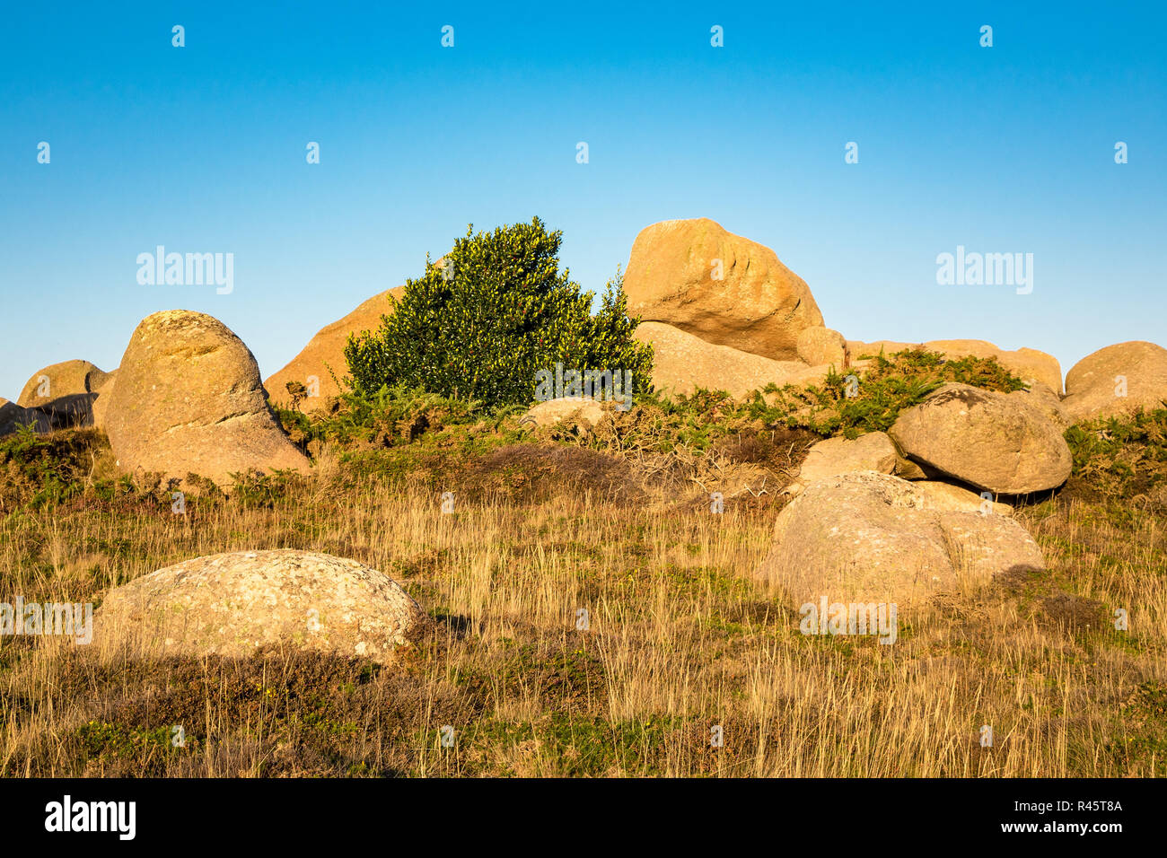 rocks in brittany Stock Photo - Alamy