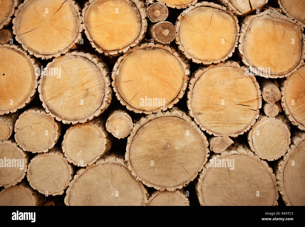 Background of round wood slices Stock Photo - Alamy