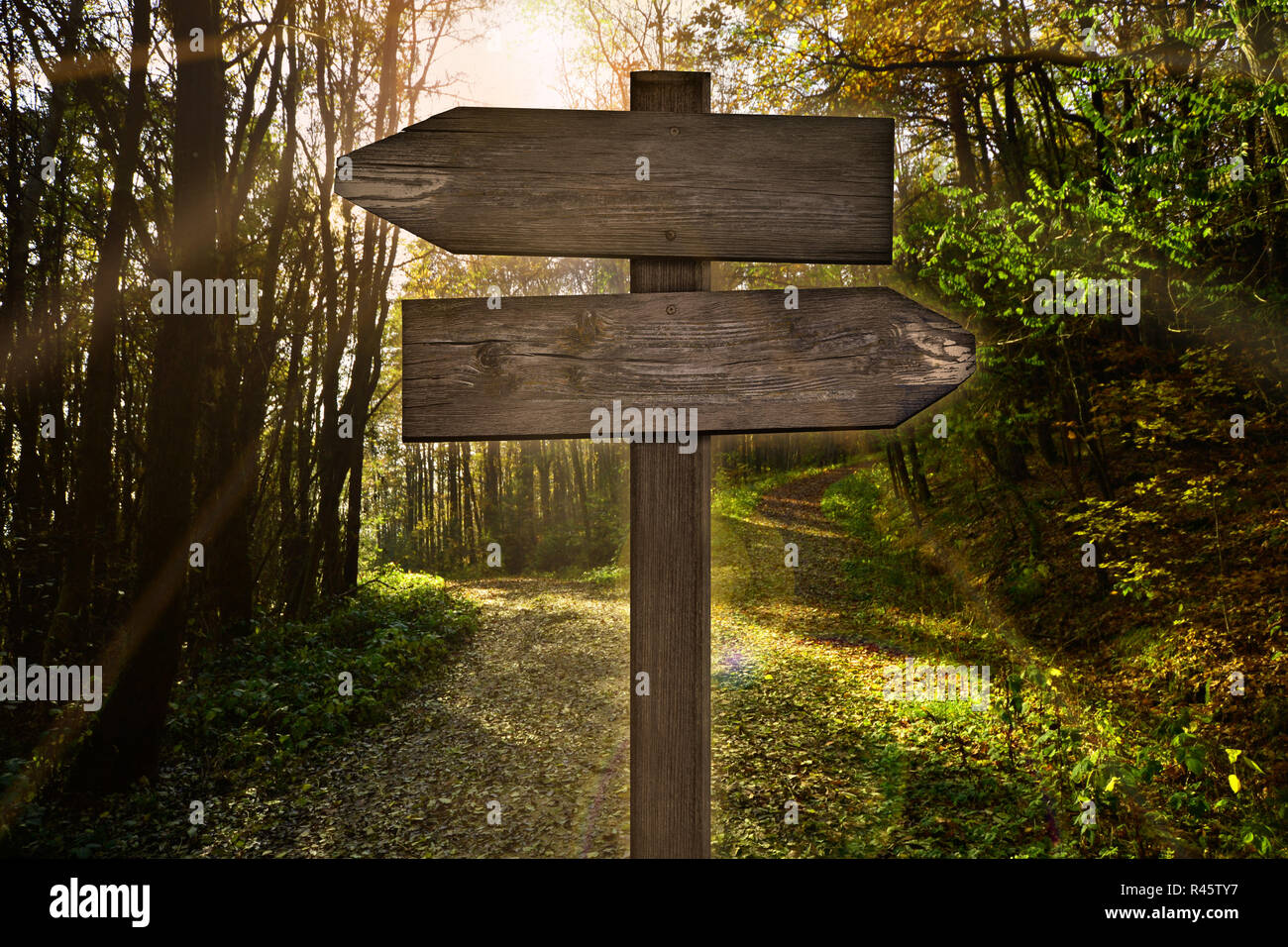 Fork in road arrow hi-res stock photography and images - Alamy