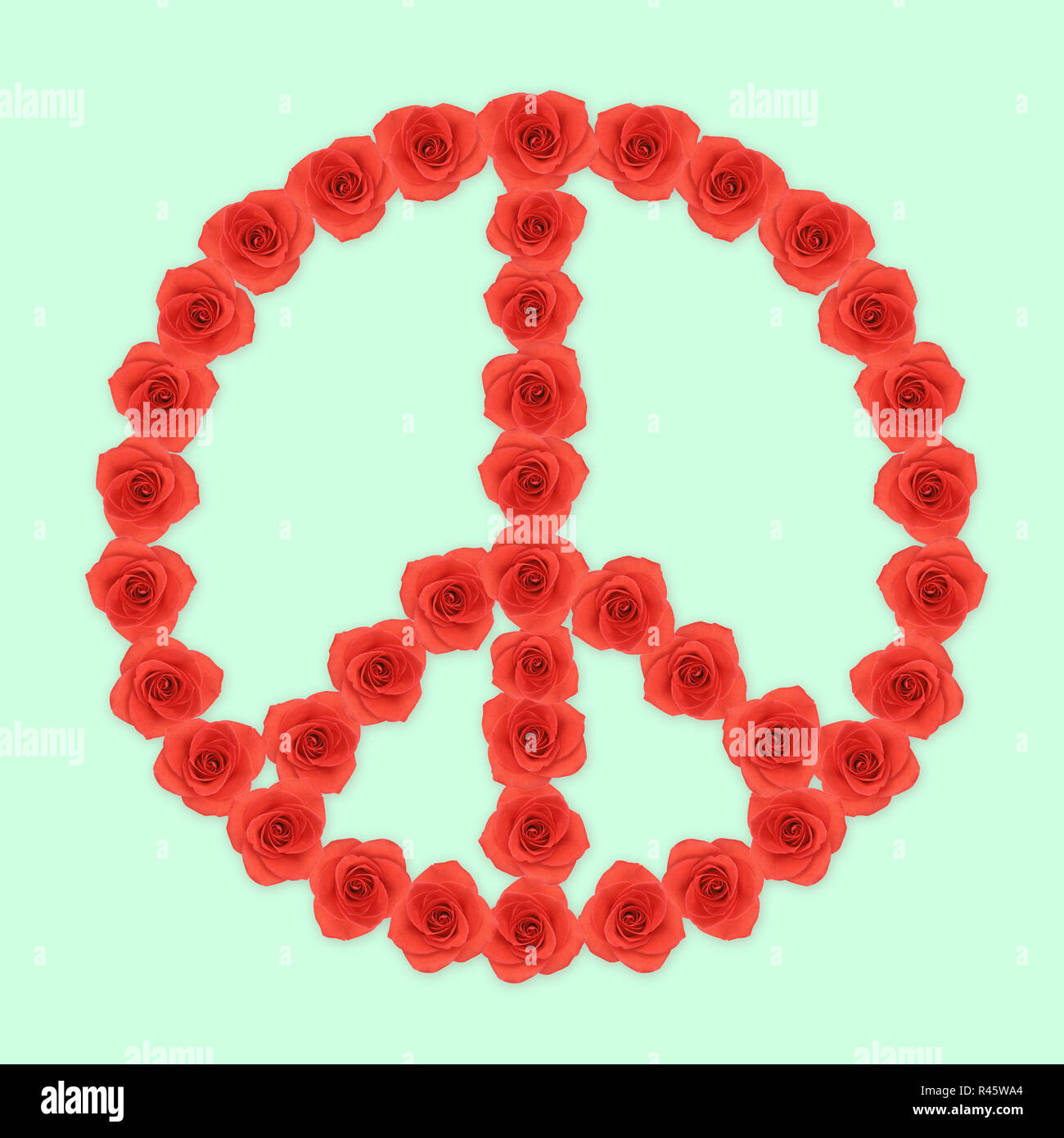 Peace shape red rose flowers on mint green background Stock Photo - Alamy