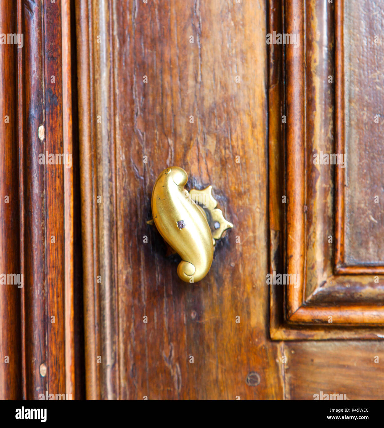 Incision house hi-res stock photography and images - Alamy