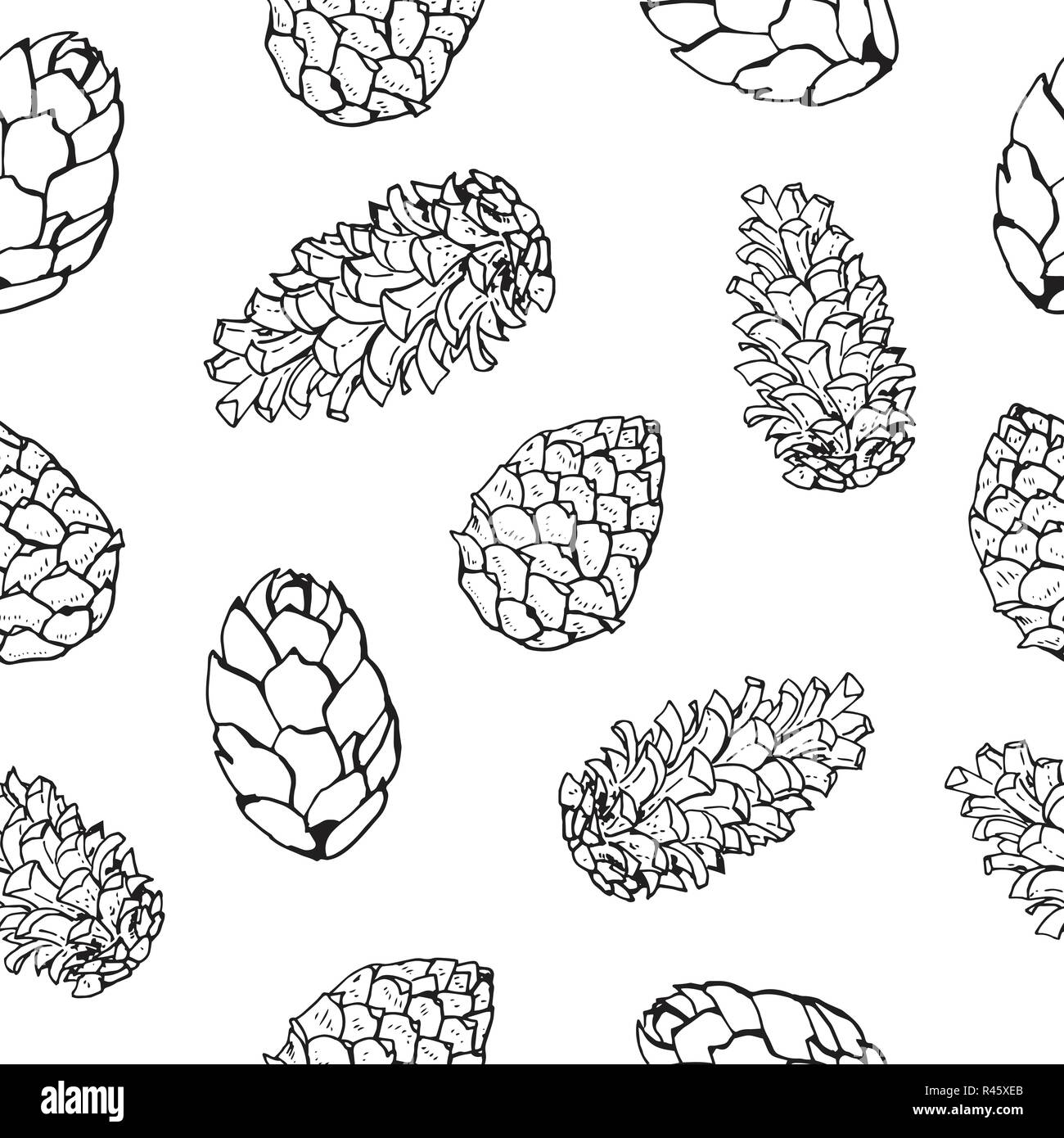 Seamless pattern with cones. Christmas pattern. Pinecones. Isolated on white background ...