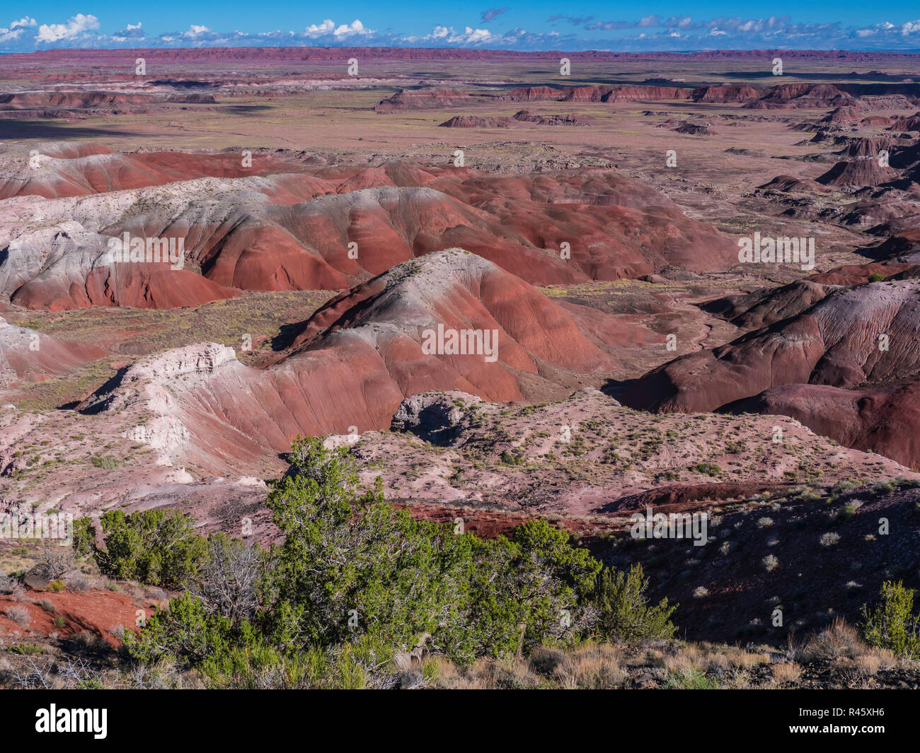 Painted Desert from Tawa Point overlook, Petrified Forest National Park ...