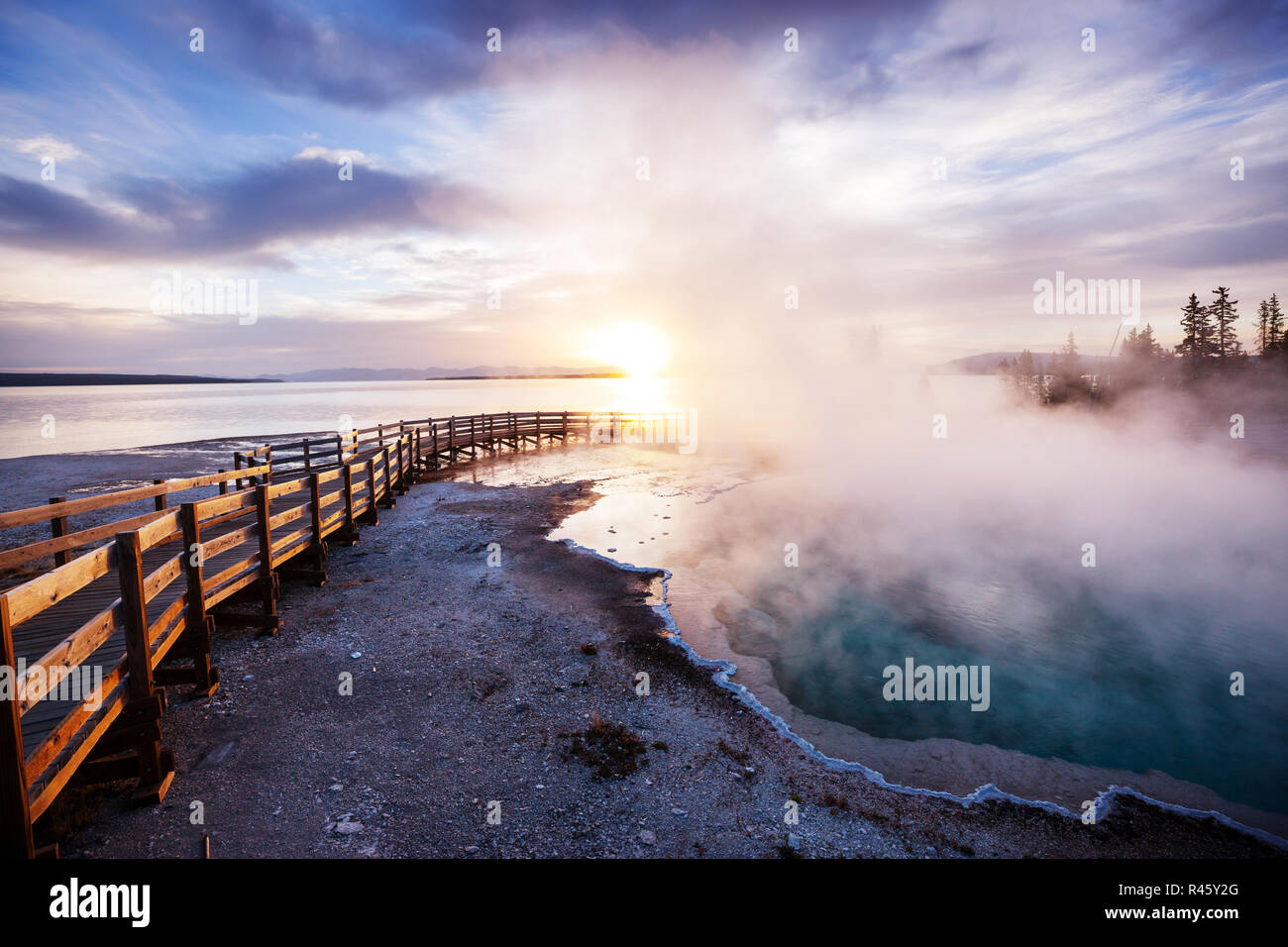 Wooden boardwalk along geyser fields in Yellowstone National Park, USA ...