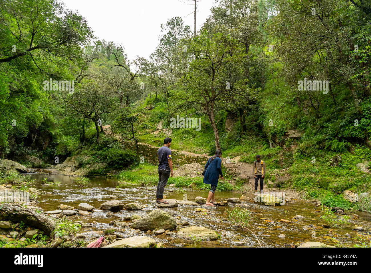 Serpentine in the foothills hi-res stock photography and images - Alamy